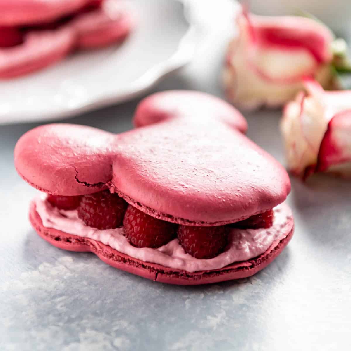 15+ Best Raspberry Dessert Recipes - House of Nash Eats