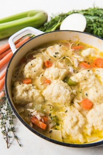 Chicken and Dumpling Soup Recipe - House of Nash Eats
