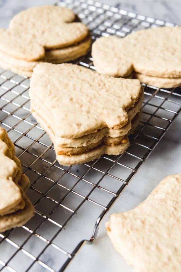 Oatmeal Rolled Sugar Cookies - House of Nash Eats