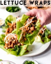 The BEST Healthy Asian Lettuce Wraps - House of Nash Eats
