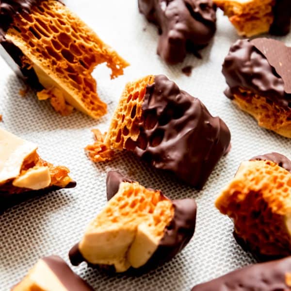 Chocolate Coated Honeycomb Candy - House of Nash Eats