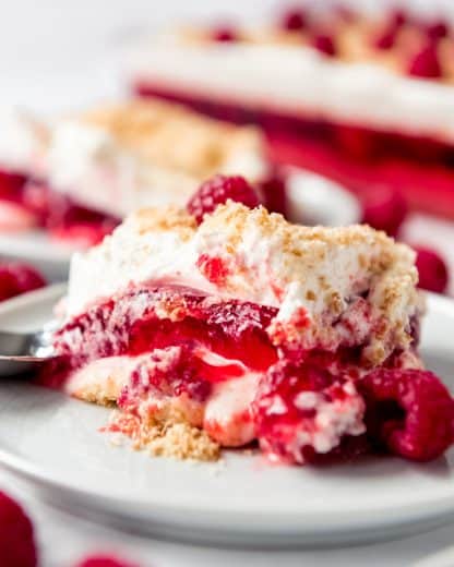 15+ Best Raspberry Dessert Recipes - House of Nash Eats