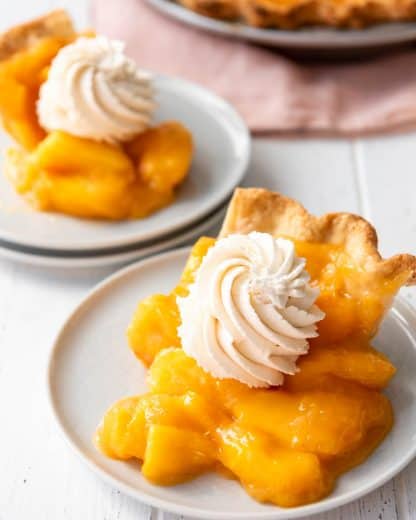 10+ Best Peach Recipes - House of Nash Eats