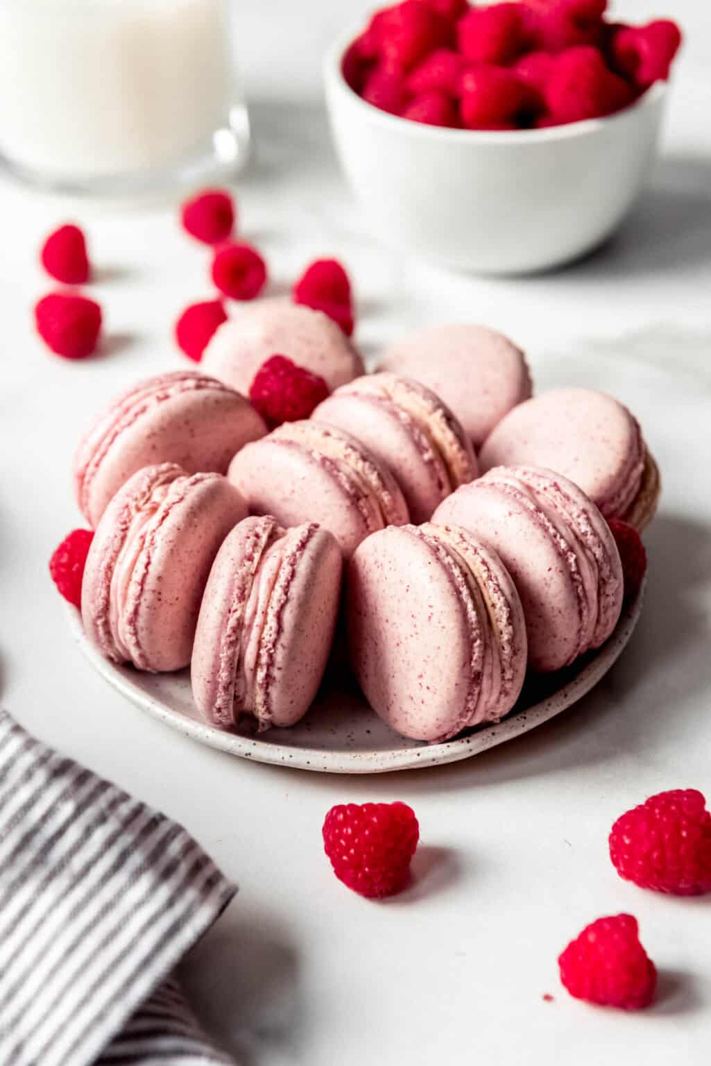 Raspberry Macarons - House of Nash Eats