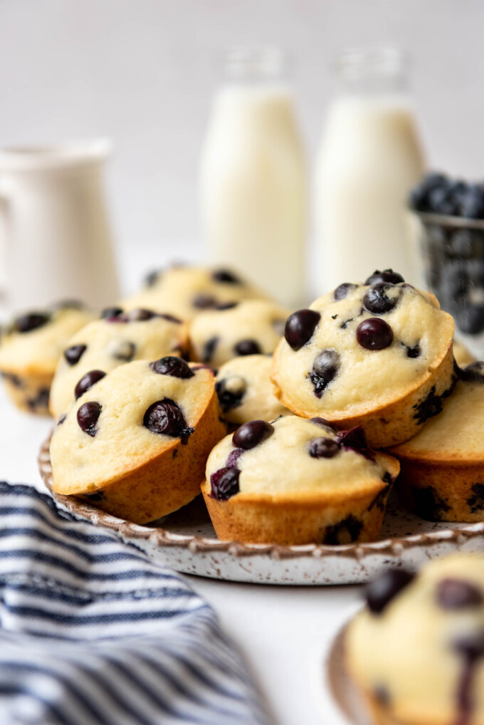 Blueberry Muffins with Crumb Topping - House of Nash Eats