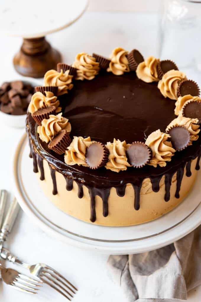 Amazing Chocolate Peanut Butter Cake - House of Nash Eats