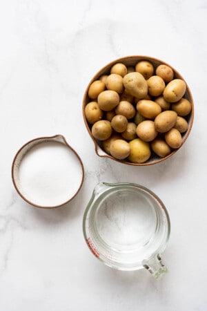 Syracuse Salt Potatoes - House of Nash Eats