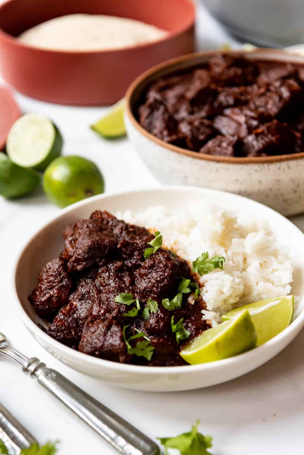 New Mexico Carne Adovada - House of Nash Eats