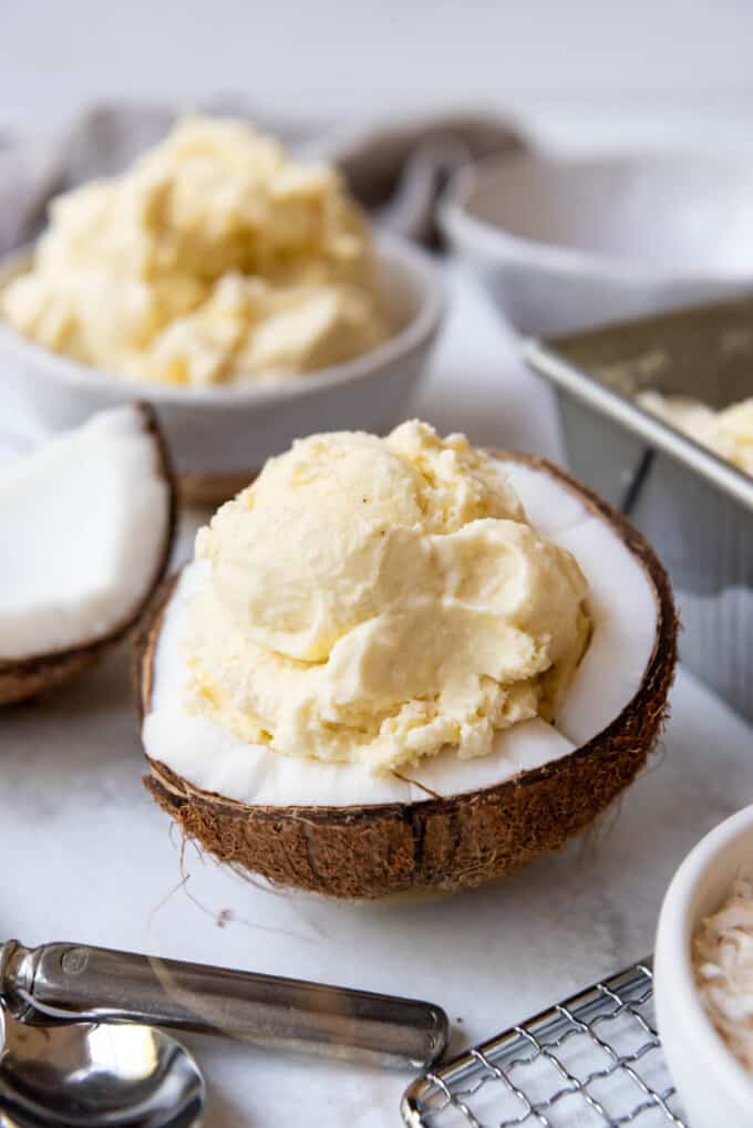 Coconut Ice Cream - House of Nash Eats