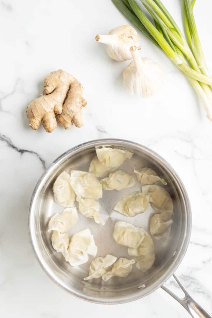 Homemade Wonton Soup - House of Nash Eats