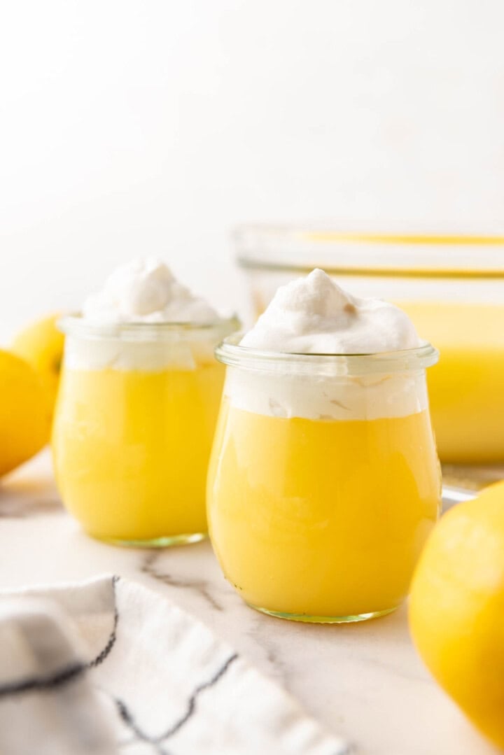 Homemade Lemon Pudding - House of Nash Eats
