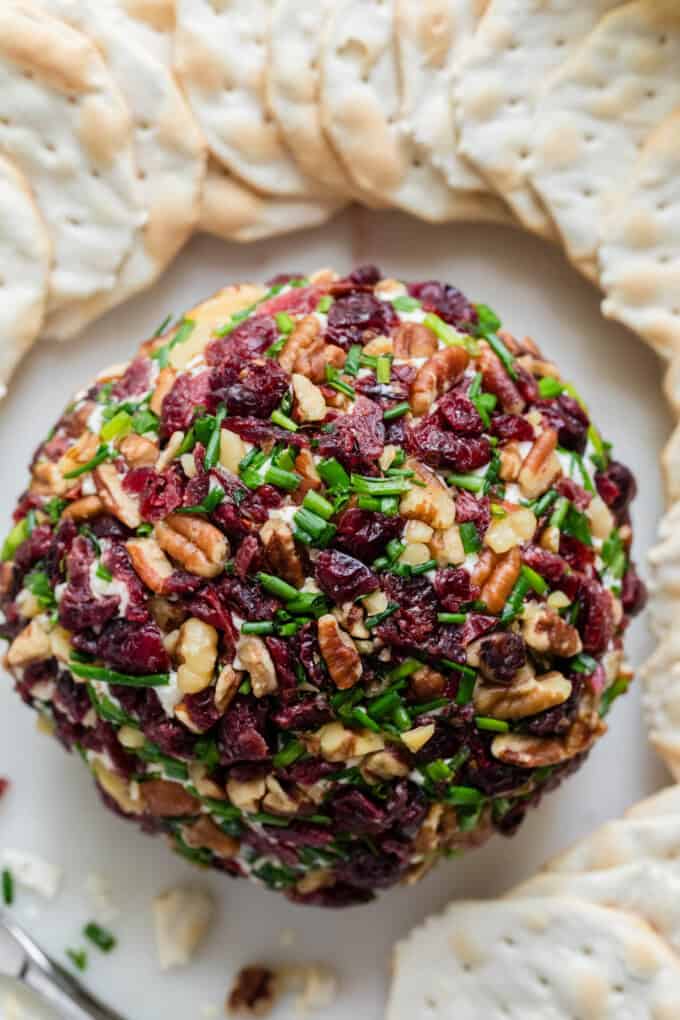 Easy Cranberry Pecan Cheeseball - House of Nash Eats