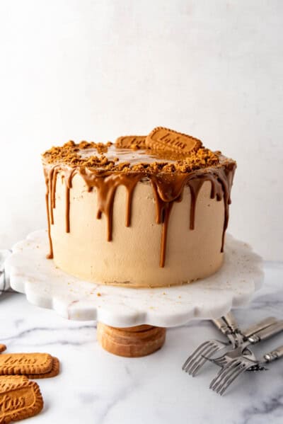 Biscoff Cookie Butter Cake - House of Nash Eats