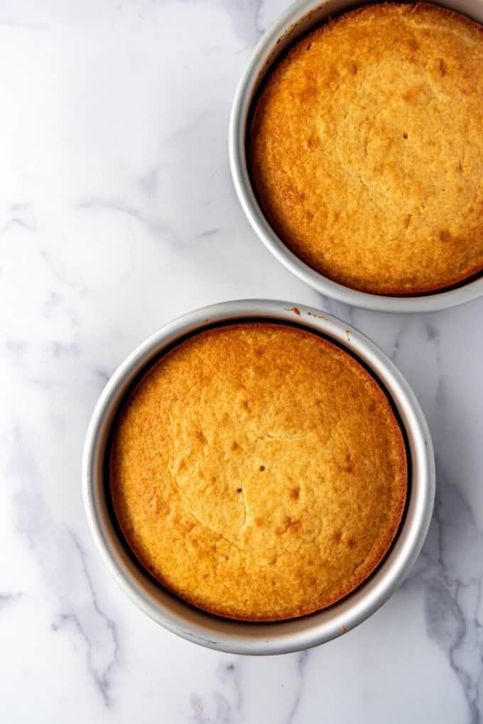 Perfect Vanilla Cake (from scratch!) - House of Nash Eats