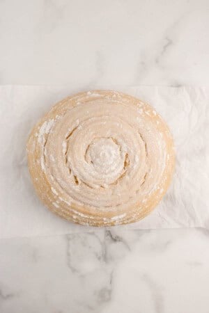 No Knead Whole Wheat Bread - House of Nash Eats