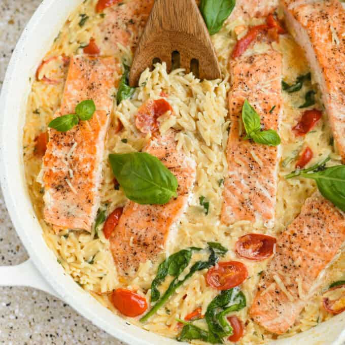 One Pot Salmon & Creamy Tomato Orzo Pasta - House of Nash Eats